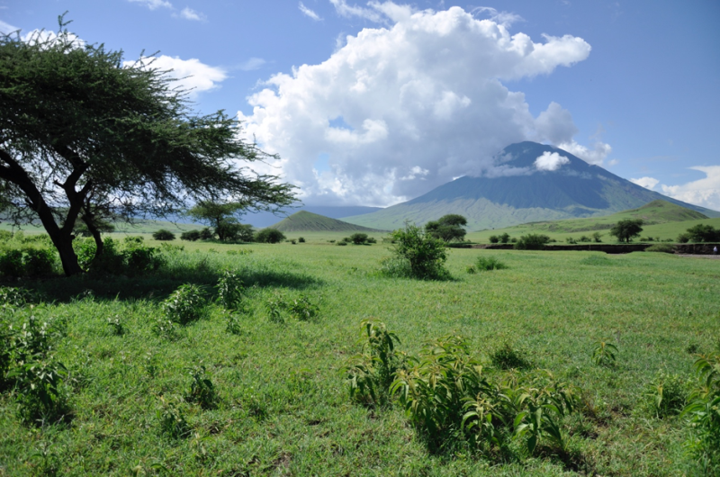 Regards croisés sur le Grand Rift Africain | INSHS